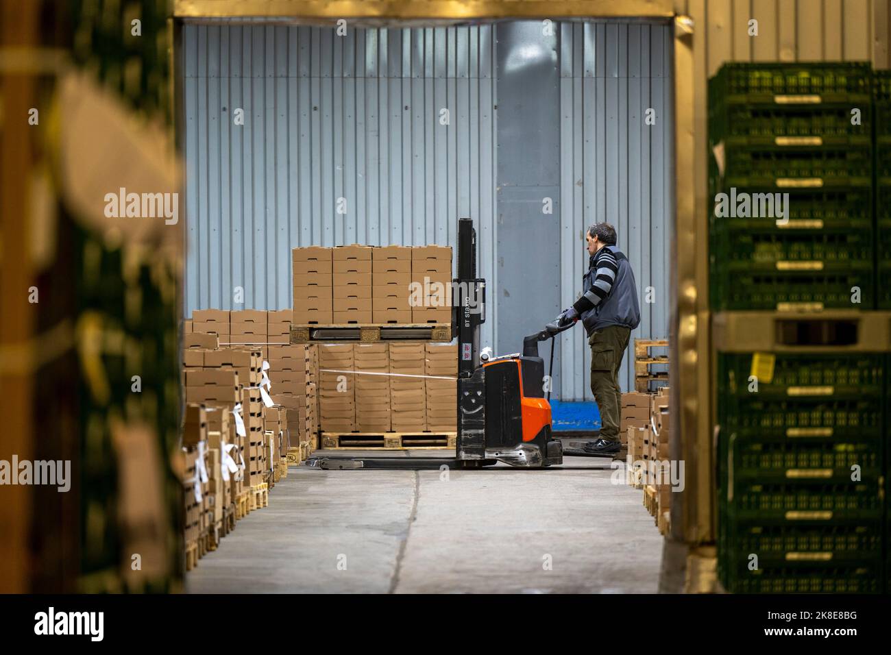 Fbb gmbh hi-res stock photography and images - Alamy