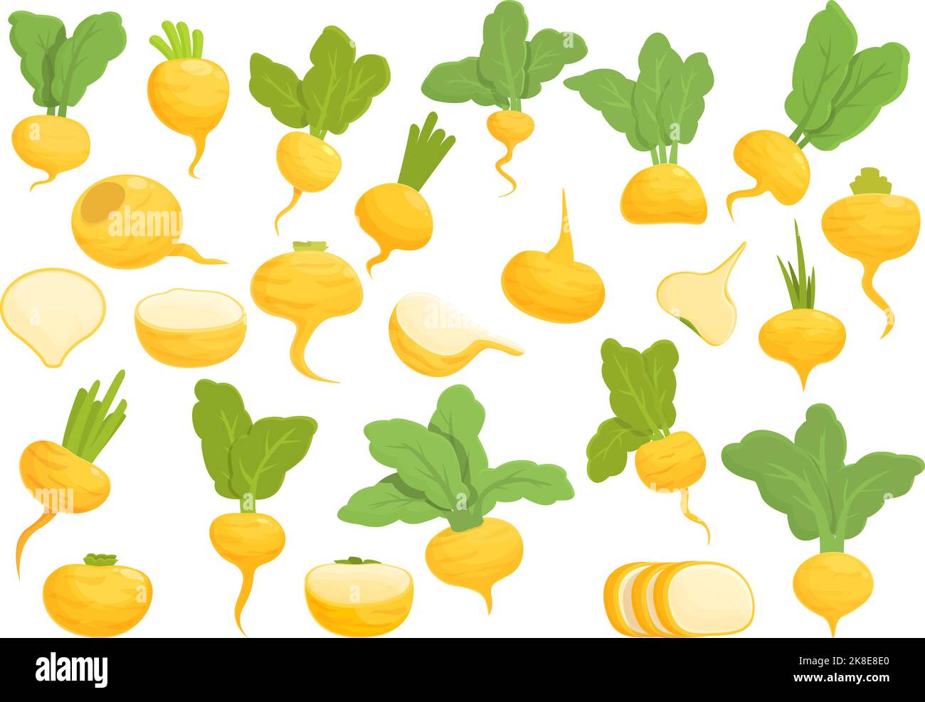 Turnip icons set cartoon vector. Plant cooking. Cuisine diet Stock ...