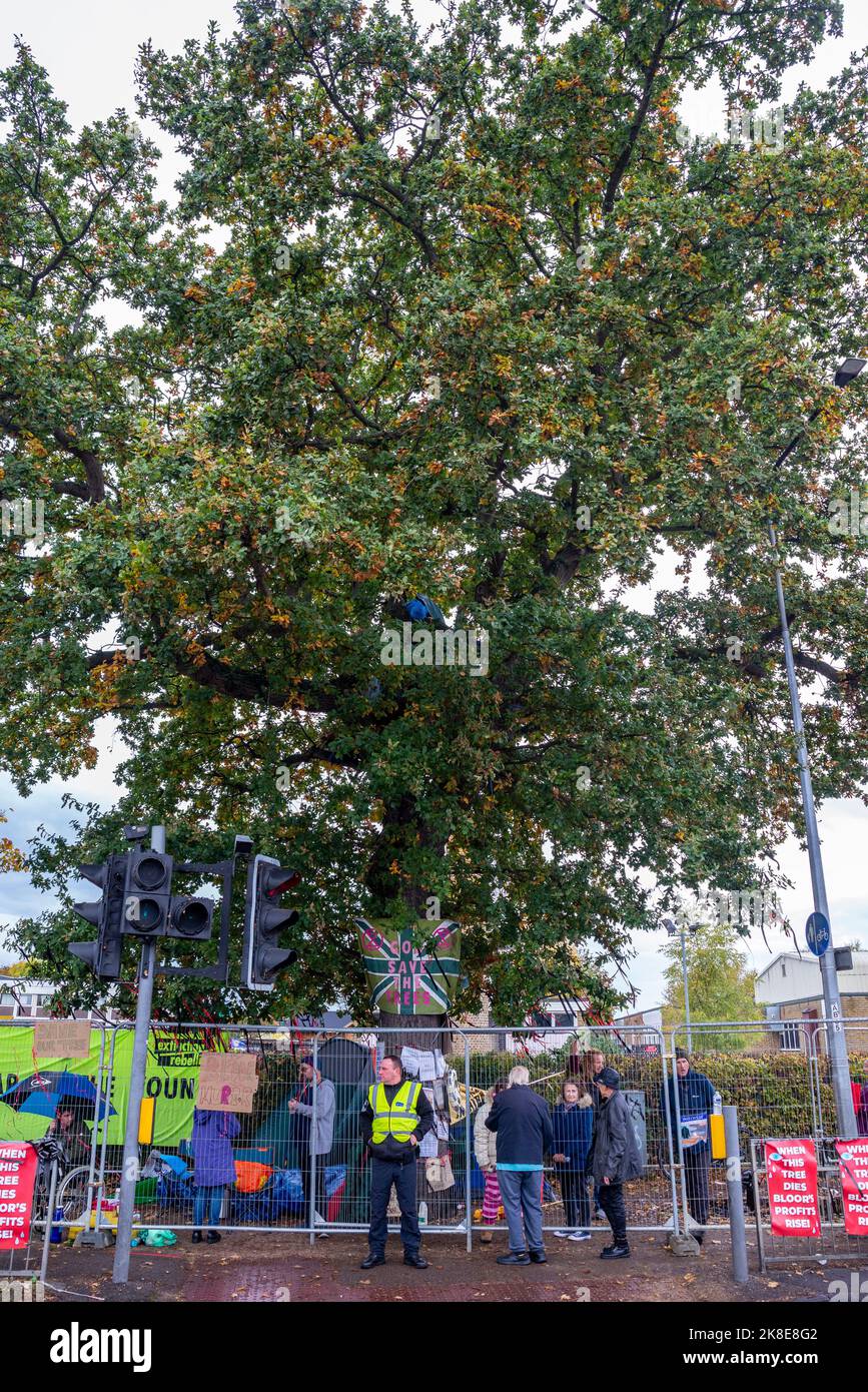 Ashingdon Road, Rochford, Southend on Sea, Essex, UK. 23rd Oct, 2022 ...