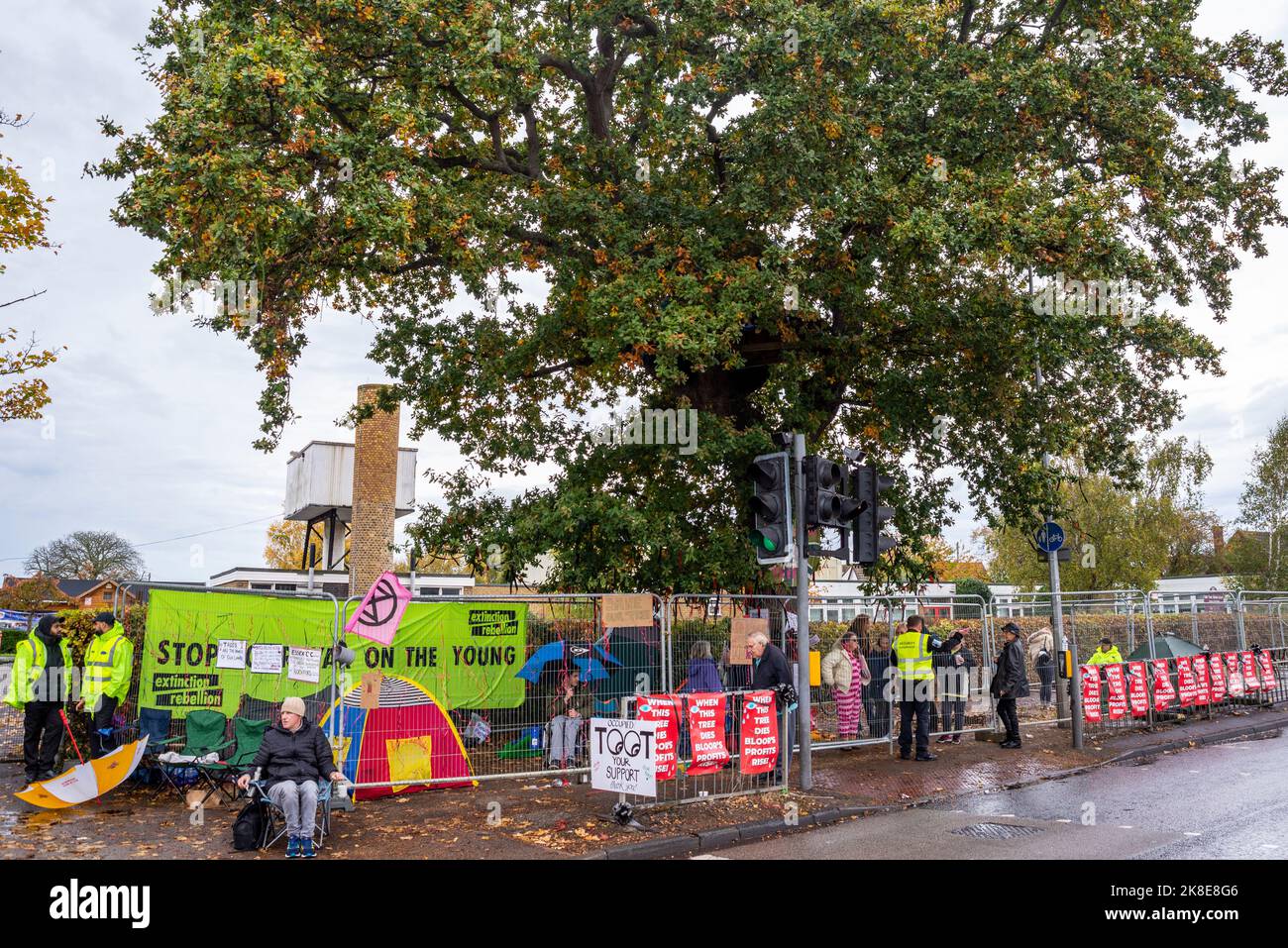 Holt farm oak tree hi-res stock photography and images - Alamy