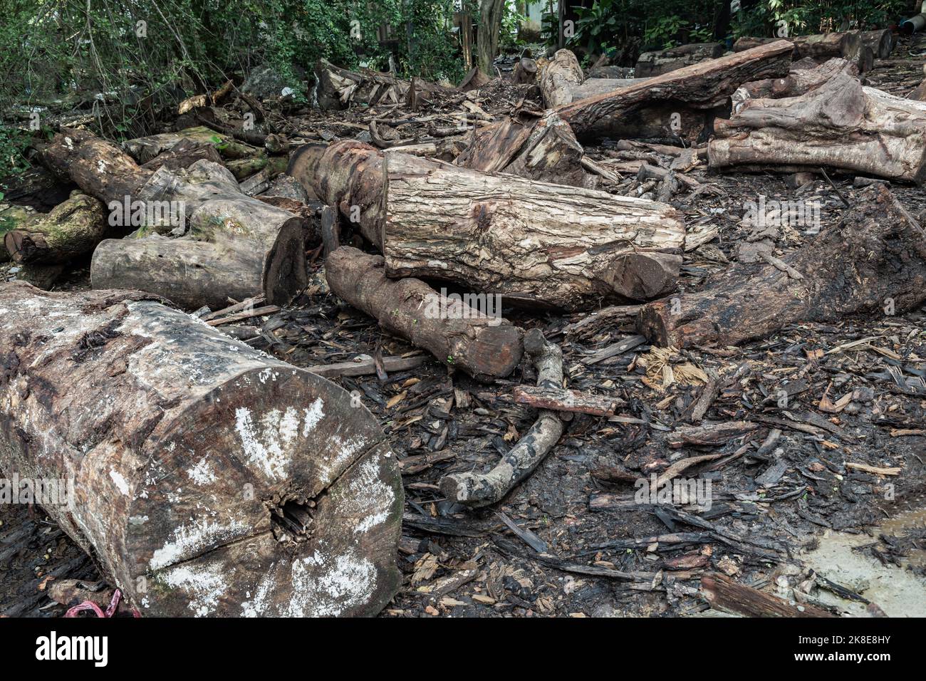 Wooden dow hi-res stock photography and images - Alamy