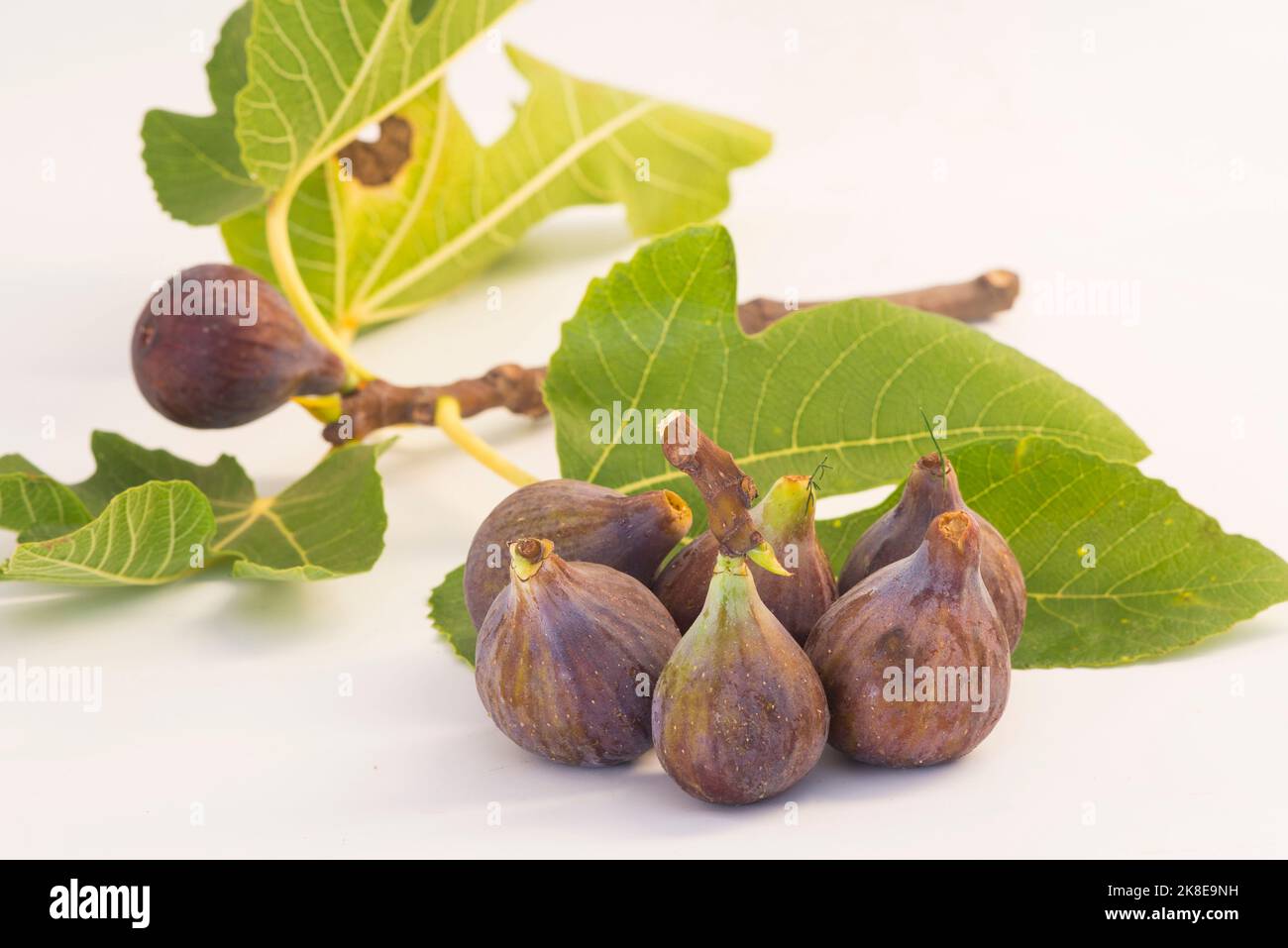Natural Figs with tree white background Stock Photo - Alamy