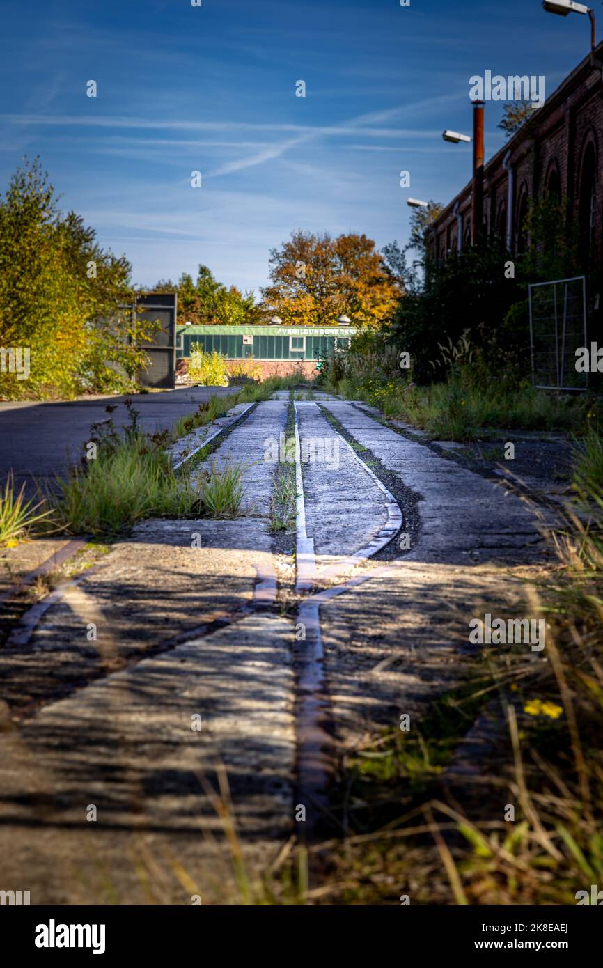 A view from the old railroad tracks. In the meantime, no train runs ...