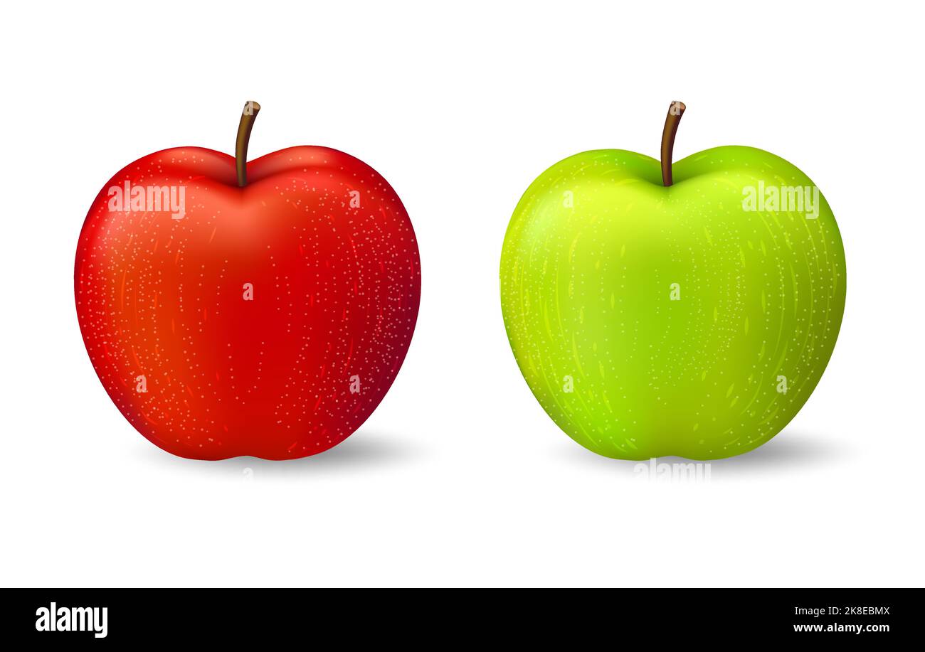 Realistic red green apples hi-res stock photography and images - Alamy