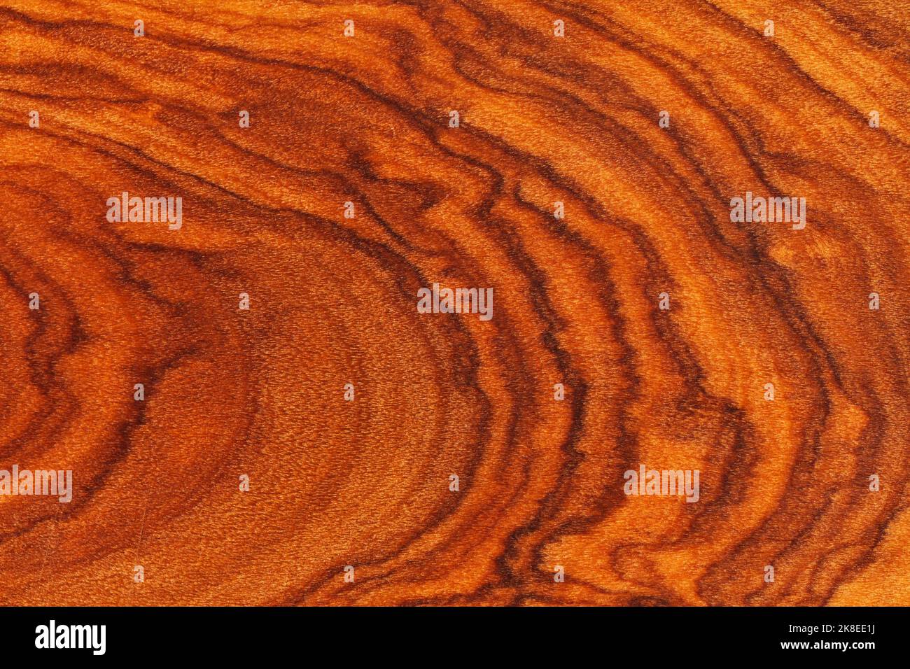 Olive texture hi-res stock photography and images - Alamy