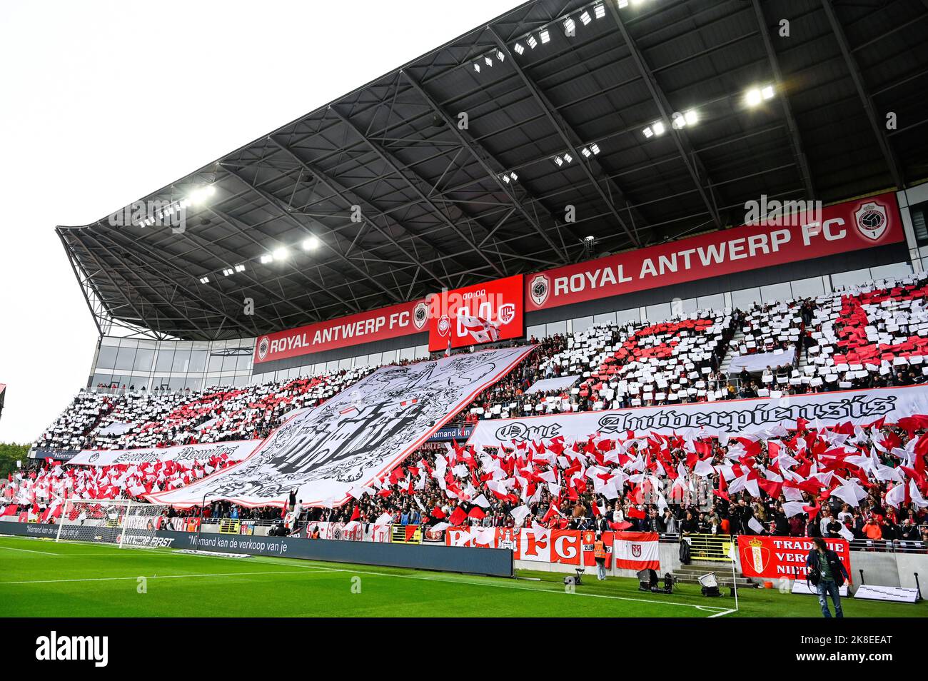 Antwerp FC fans pictured before a soccer match between Royal Antwerp FC ...