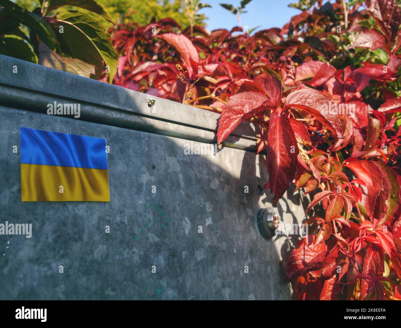 electrical cabinet with an Ukraine flag near ivy Stock Photo - Alamy