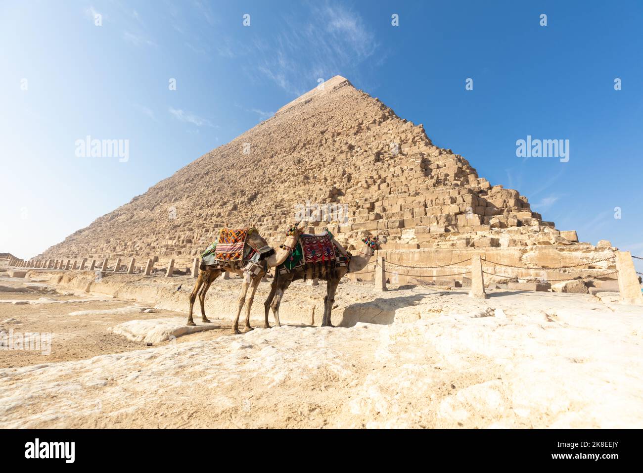 Bedouin on camel near pyramids in desert Stock Photo - Alamy