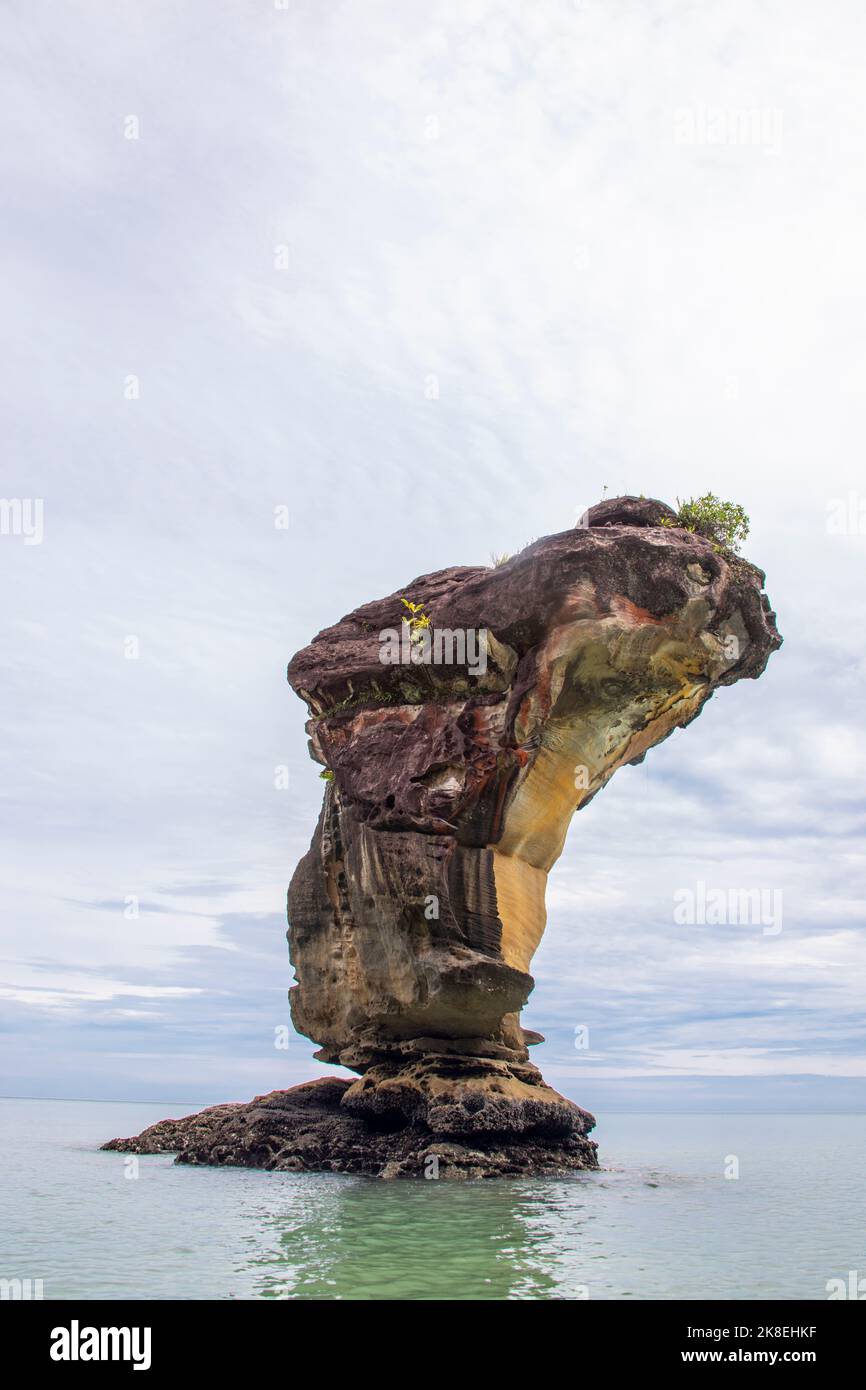 the sea stack in Bako National Park beach Sarawak Malaysia. Established ...