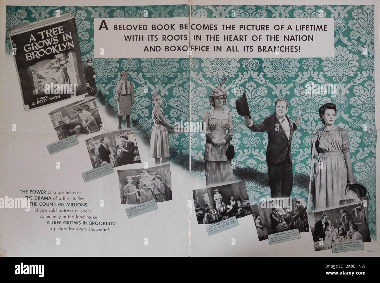 DOROTHY McGUIRE JOAN BLONDELL JAMES DUNN LLOYD NOLAN PEGGY ANN GARNER ...