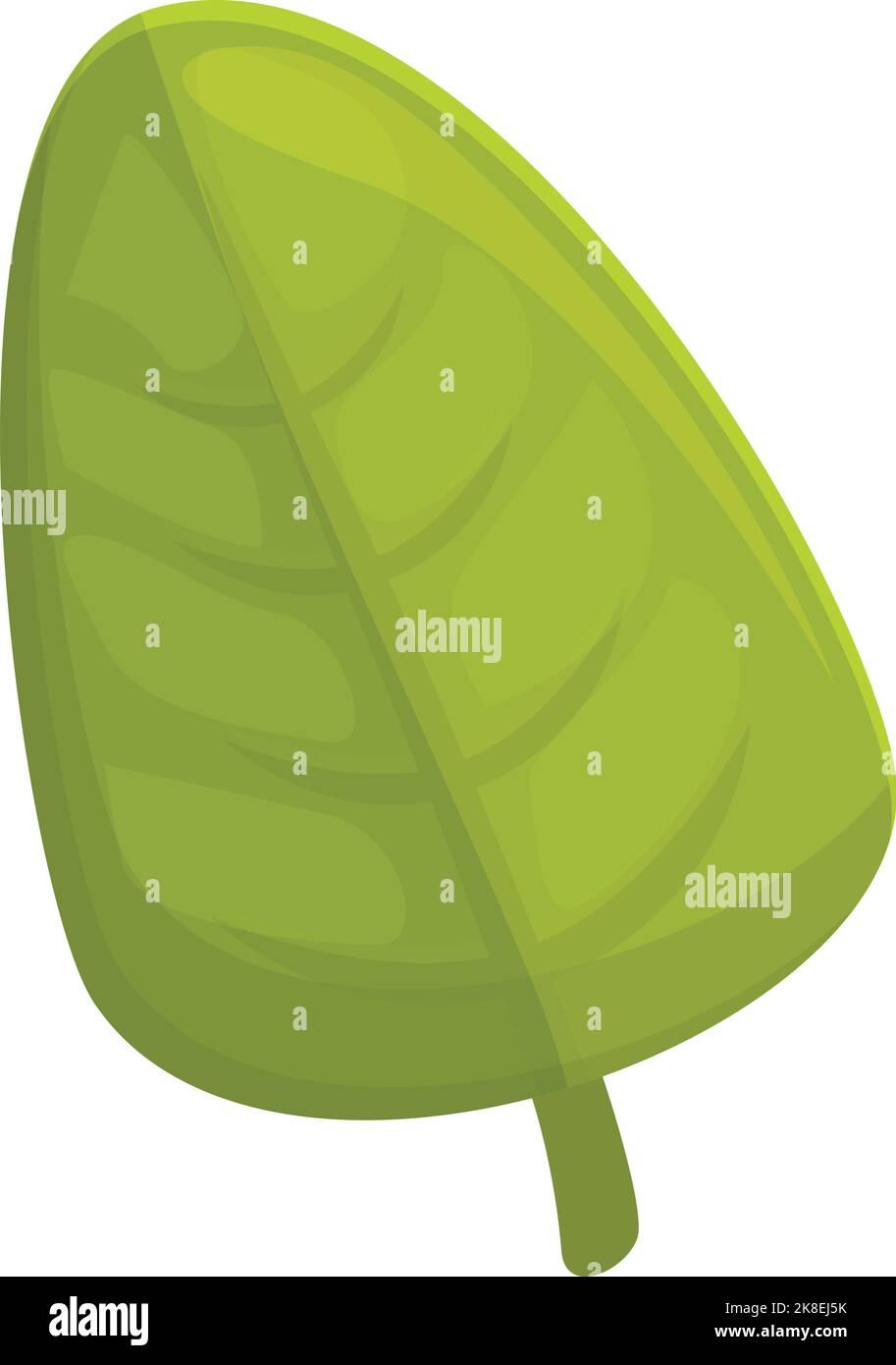 Spice leaf icon cartoon vector. Herb plant. Garden spice Stock Vector ...