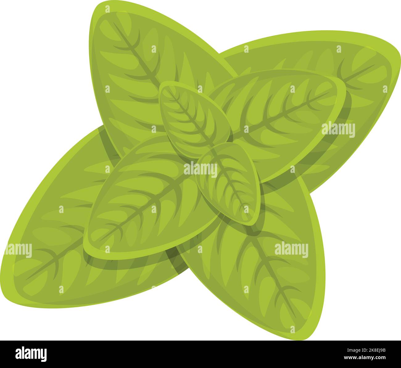 Calendula label Cut Out Stock Images & Pictures - Alamy