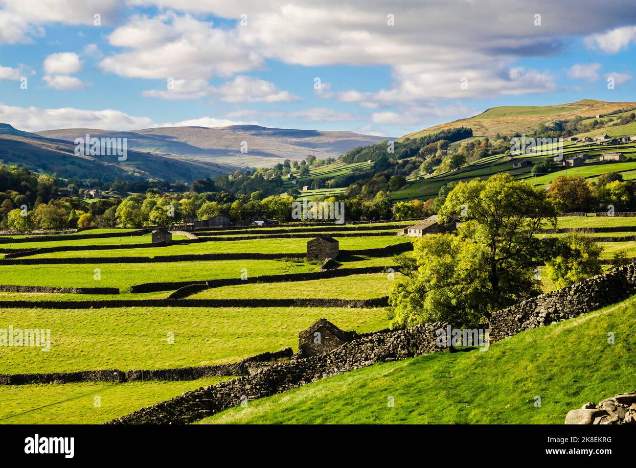 Sunlit English countryside with barns and dry stone walls in Yorkshire ...