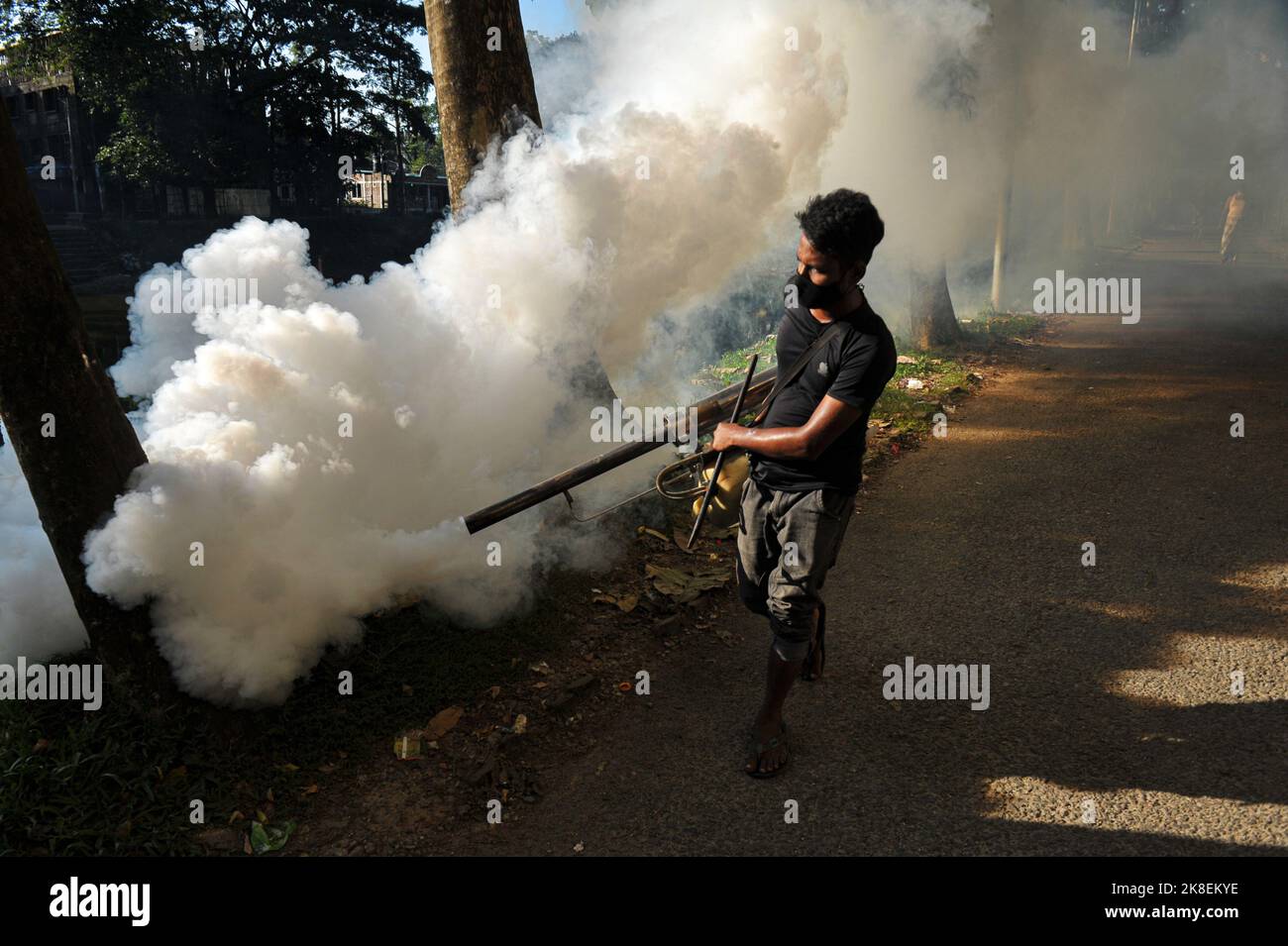 Pyrethrin spray fogger hi-res stock photography and images - Alamy