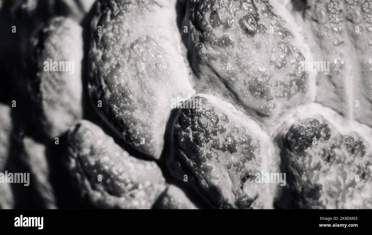 Abstract mystic background beauty nature wallpaper. Real photo close ...