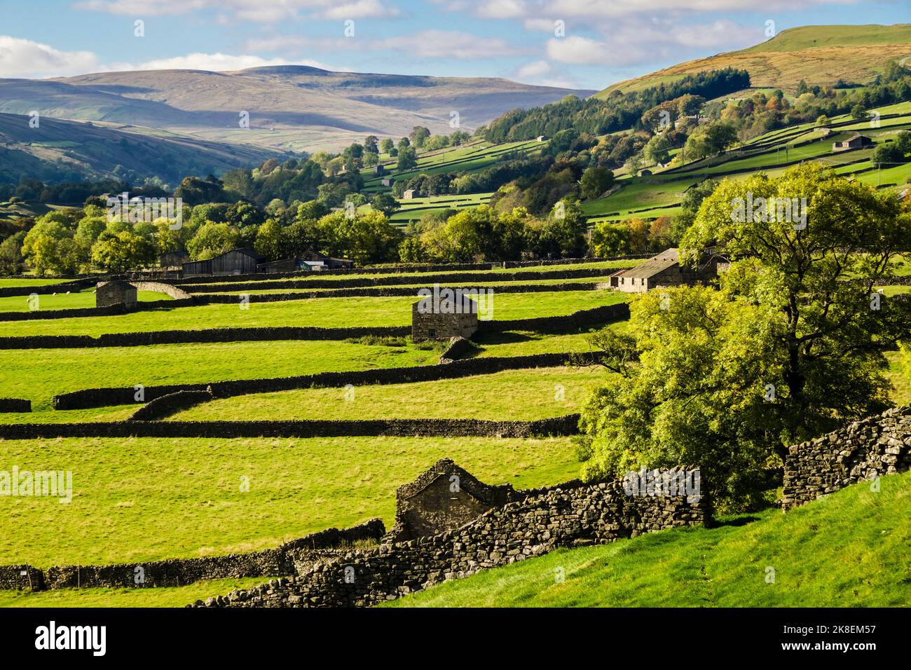 Sunlit English countryside with barns and drystone walls in Yorkshire ...