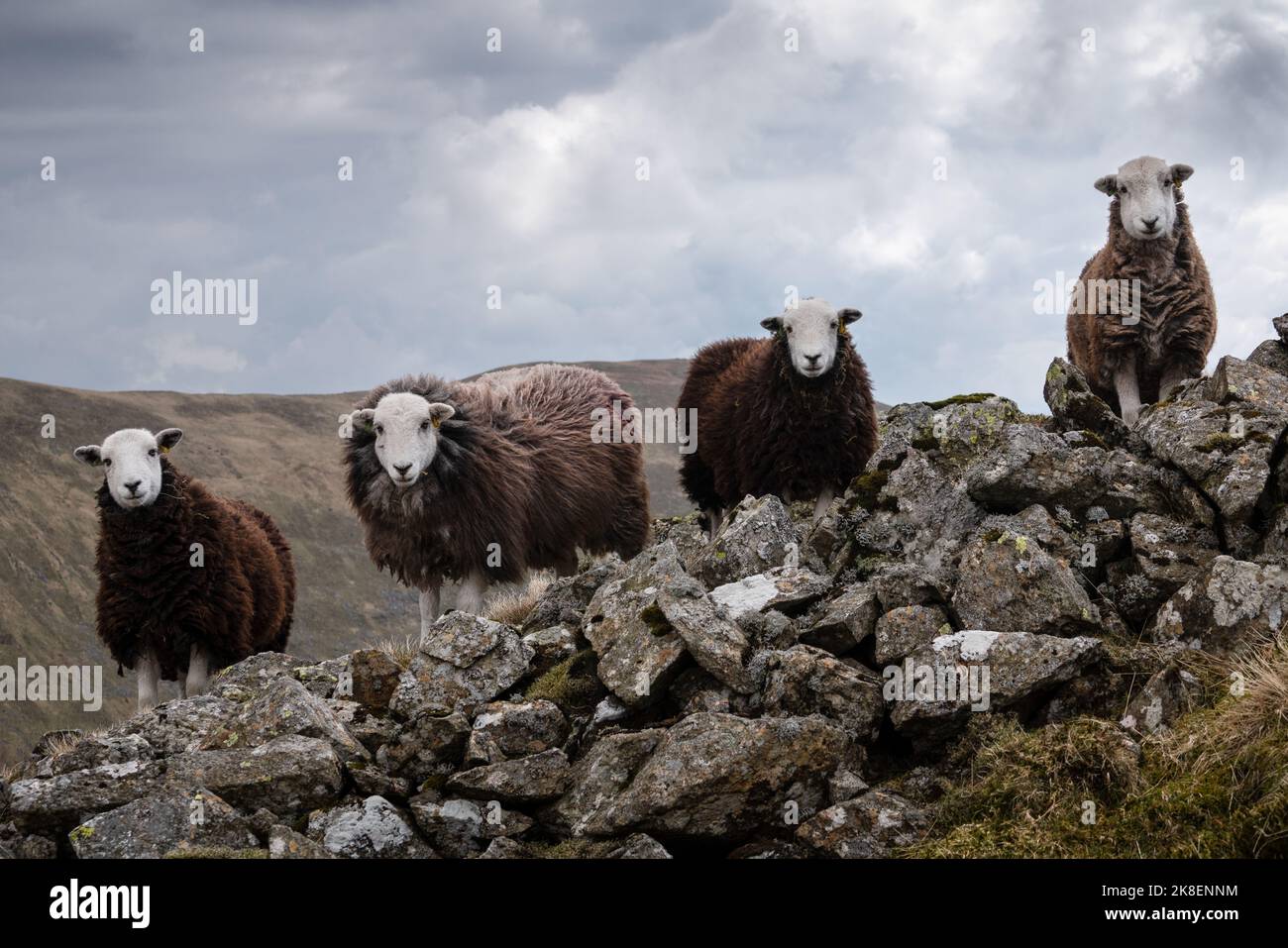 Central lakeland fells hi-res stock photography and images - Alamy