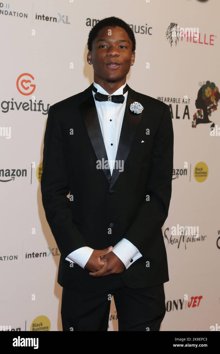 LOS ANGELES - OCT 22: Branson Bailey at the 5th Annual Wearable Art Gala at Barker Hanger on ...
