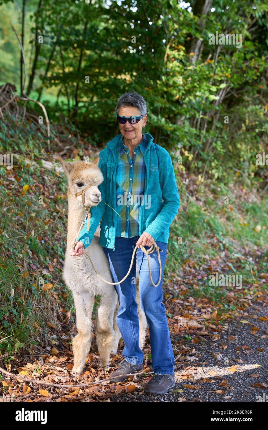 A Sunbeam Meets Woman With Beige Alpaca On Forest Path. In The ...