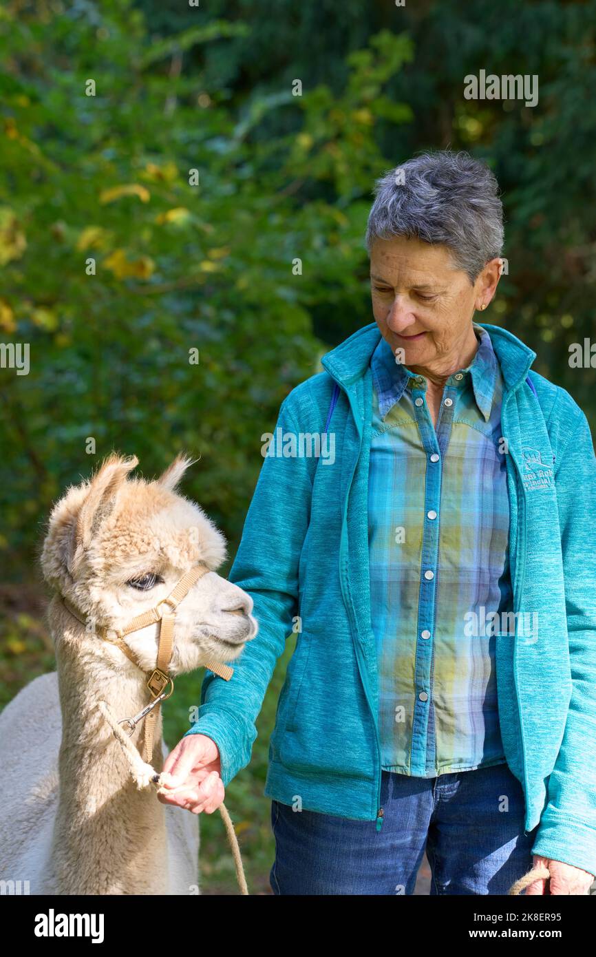 A Sunbeam Meets Young Woman With Beige Alpaca On Forest Path. In The ...