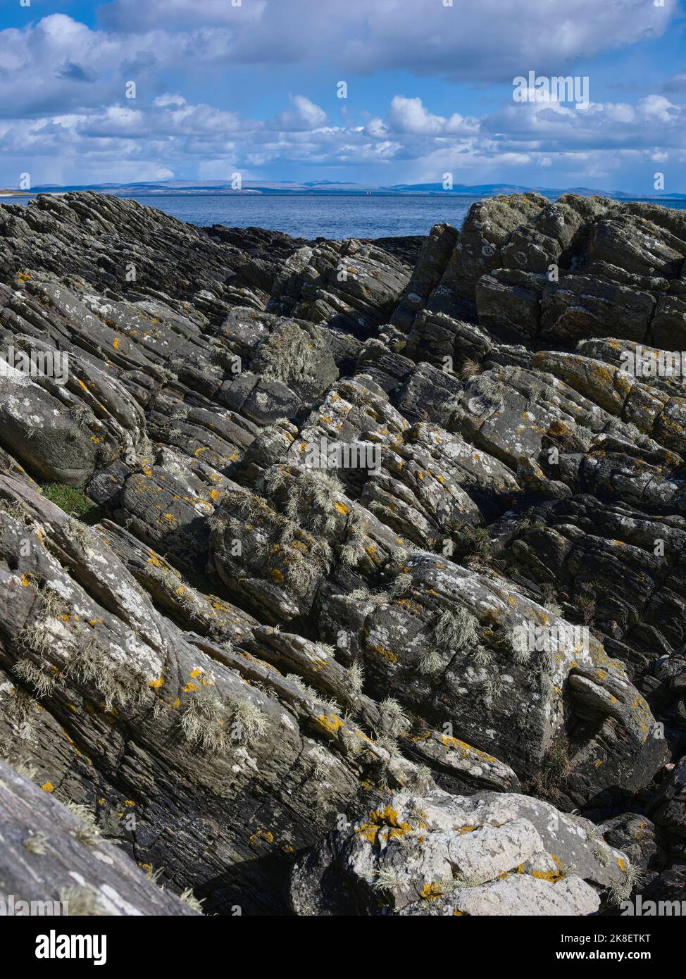 Unidentified lichen and seaweed growing on rock formations on the ...