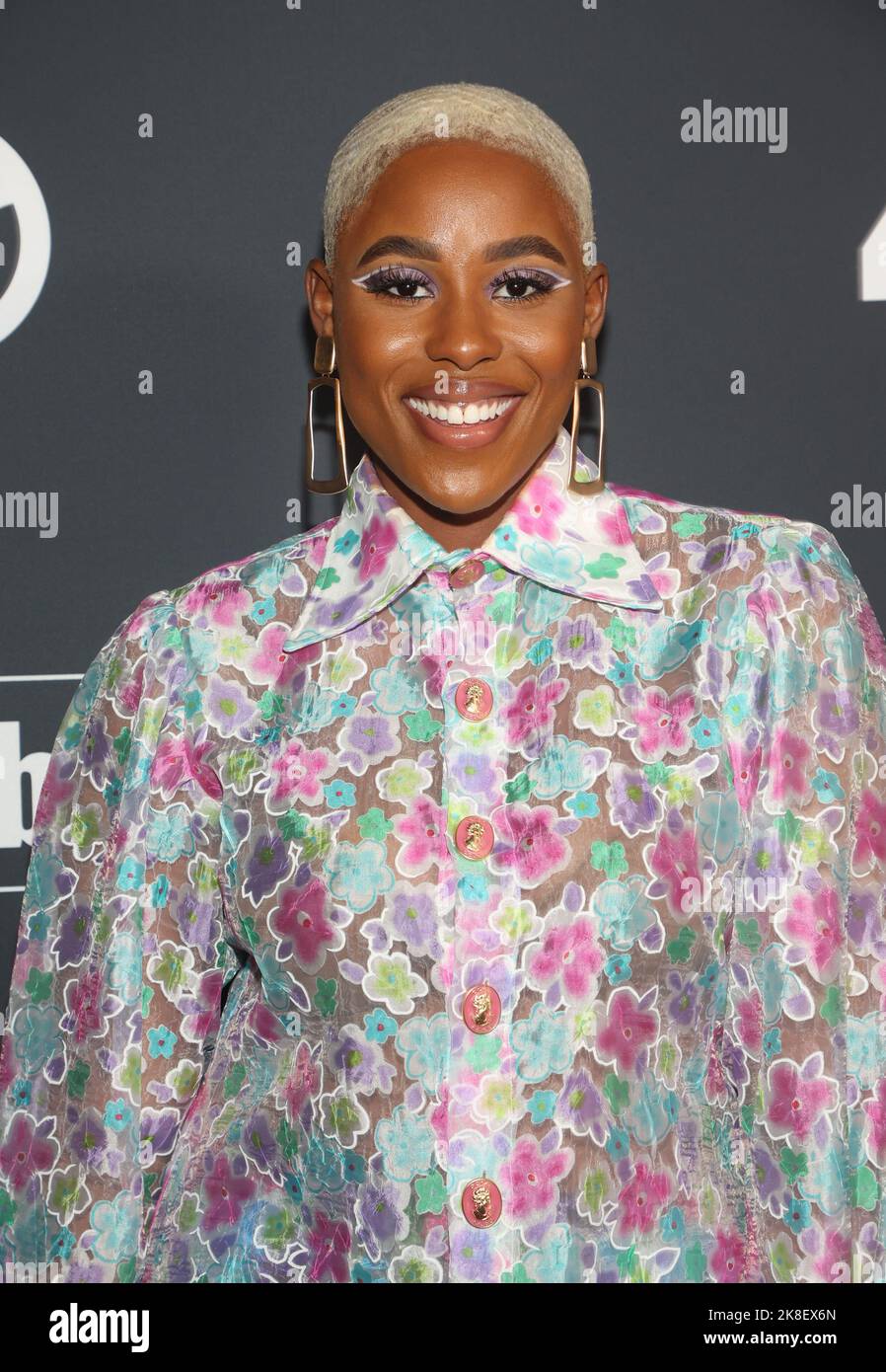 Lod Angeles, Ca. 22nd Oct, 2022. Jerrie Johnson at the 2022 Outfest ...