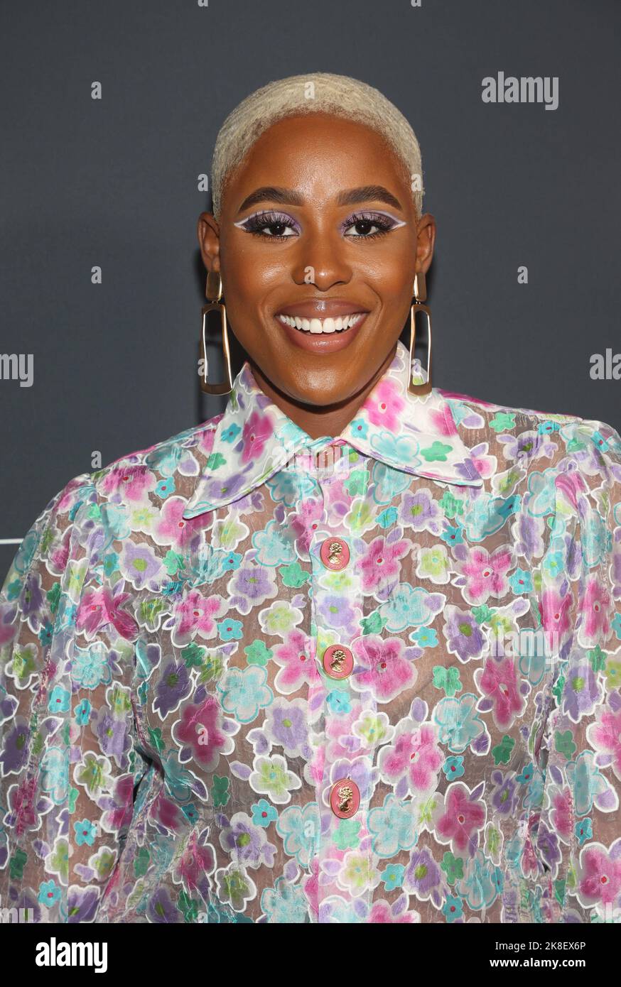 Lod Angeles, Ca. 22nd Oct, 2022. Jerrie Johnson at the 2022 Outfest ...