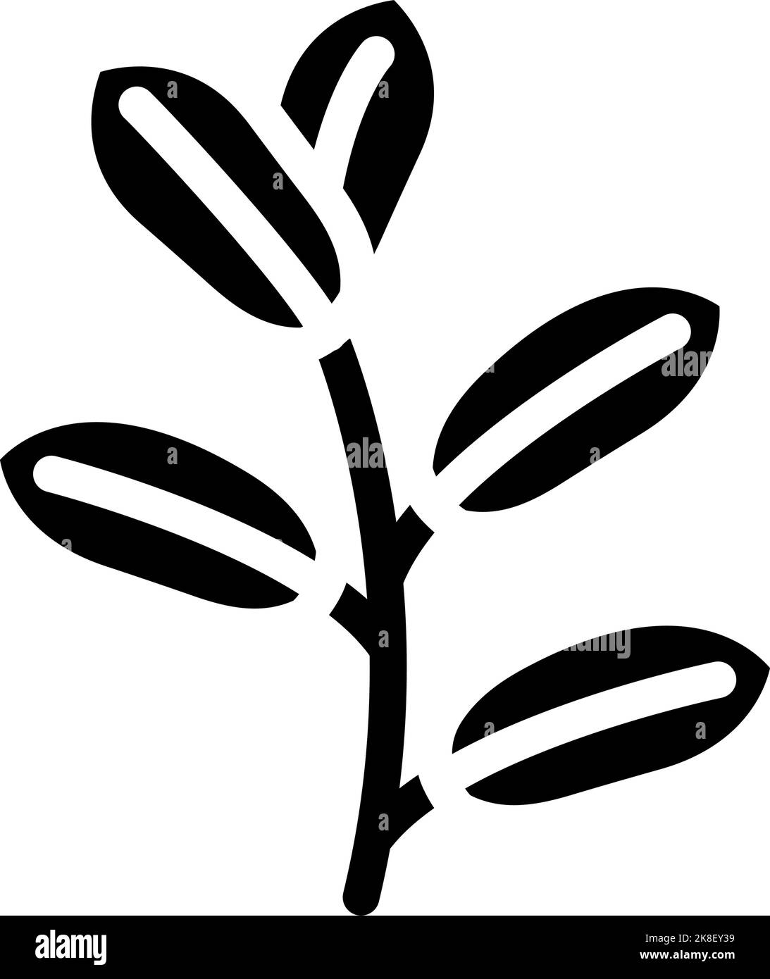 zamioculcas tropical leaf glyph icon vector illustration Stock Vector Image & Art - Alamy