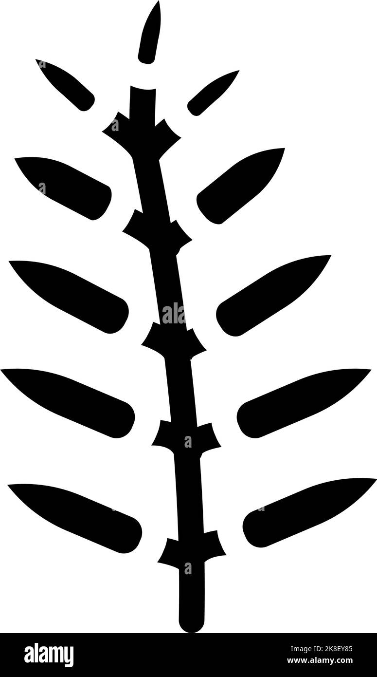 Royal fern leaf Stock Vector Images - Alamy