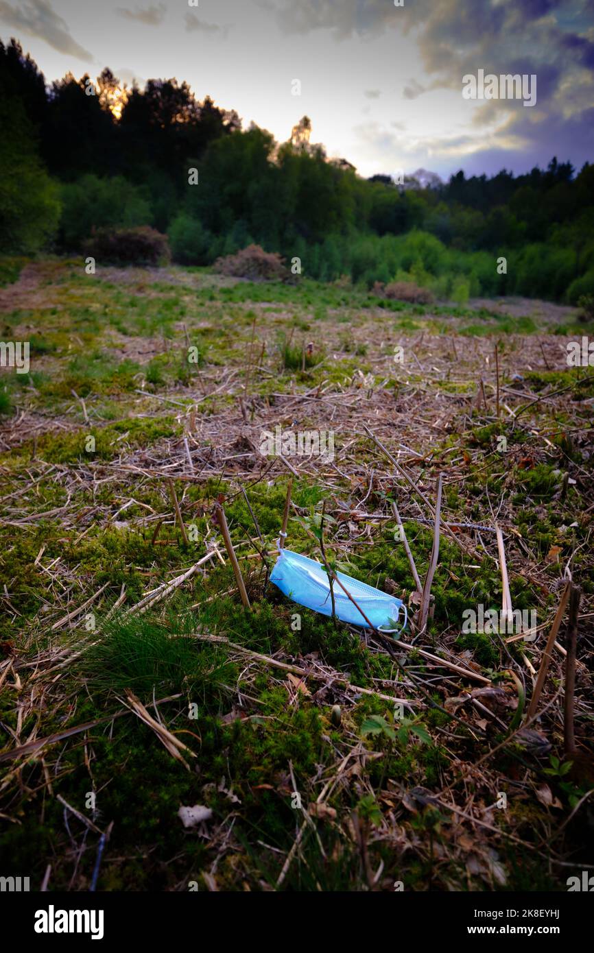 Delamere Forest in Cheshire locations and views Stock Photo - Alamy