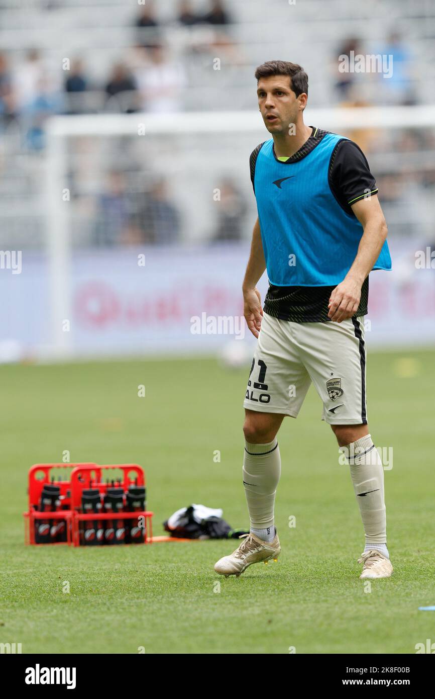 SYDNEY, AUSTRALIA - OCTOBER 23: Javier Rodriguez of Adelaide United ...