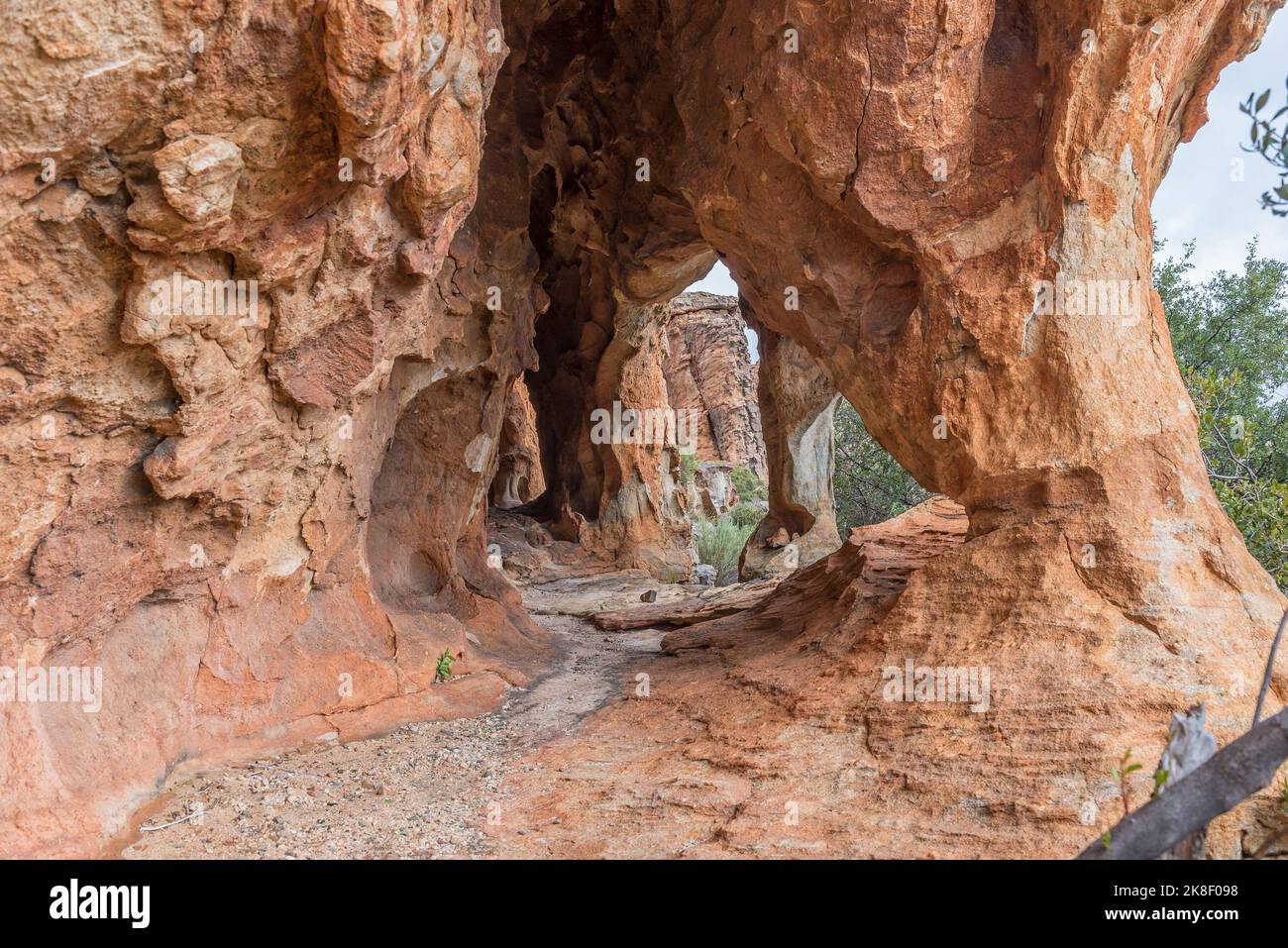 Rock pillars and arches at the Stadsaal Caves in the Western Cape ...