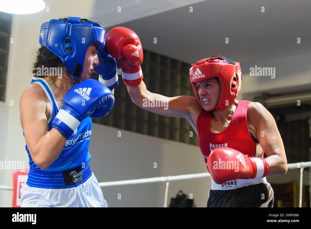 Boxwerk hi-res stock photography and images - Alamy