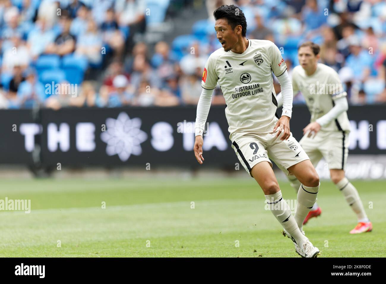 SYDNEY, AUSTRALIA - OCTOBER 23: Hiroshi Ibusuki of Adelaide United ...