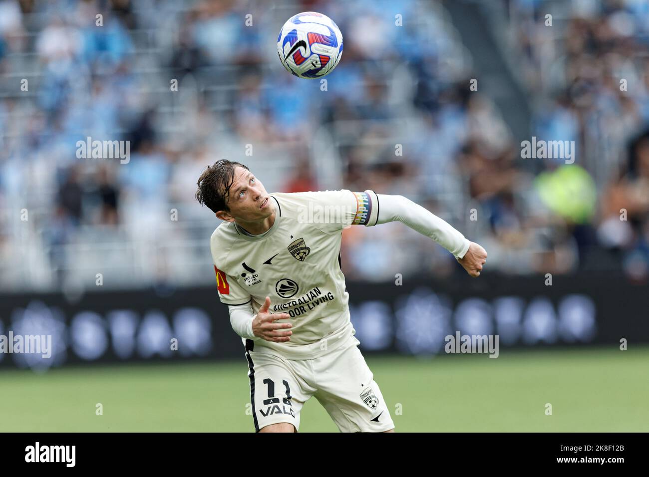 SYDNEY, AUSTRALIA - OCTOBER 23: Craig Goodwin of Adelaide United ...