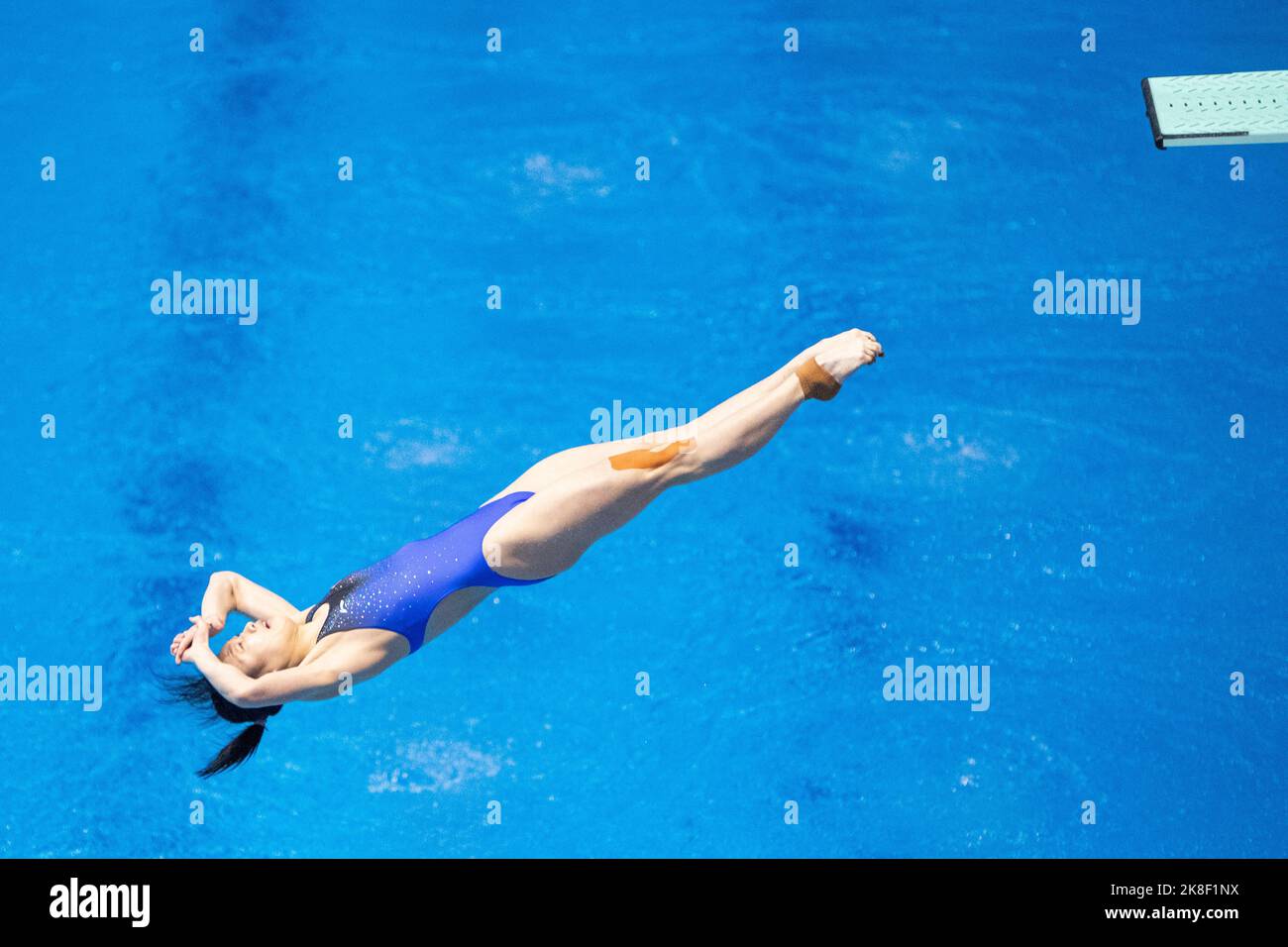 Berlin, Germany. 23rd Oct, 2022. Water diving: World Cup, decision, 3m ...