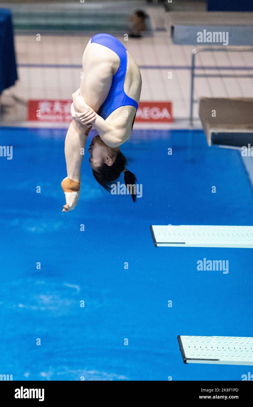 Berlin, Germany. 23rd Oct, 2022. Water diving: World Cup, decision, 3m ...