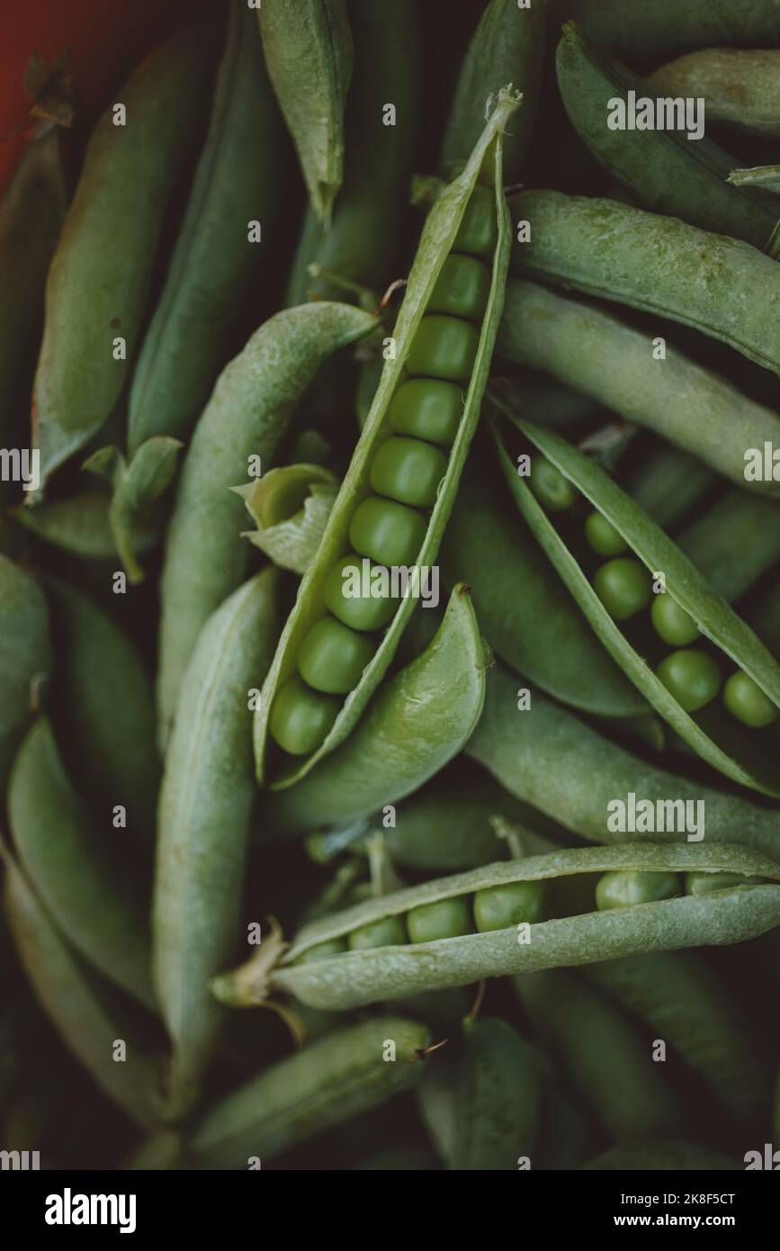 Open pods of raw green peas Stock Photo - Alamy