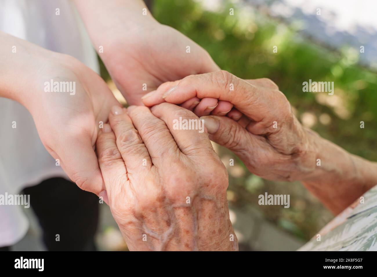 Senior woman holding hands of great granddaughter Stock Photo - Alamy