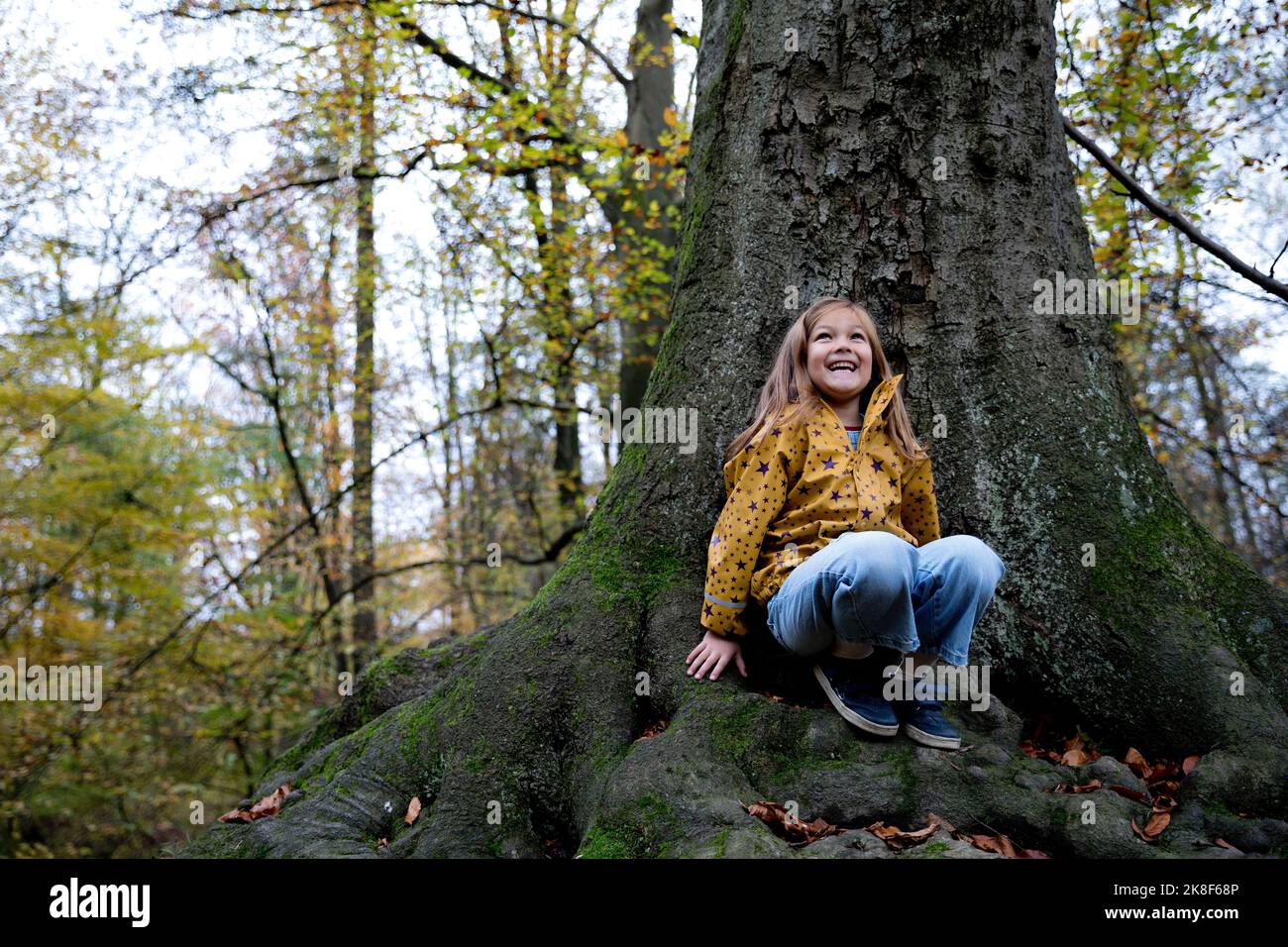 Happy girl on tree hi-res stock photography and images - Alamy