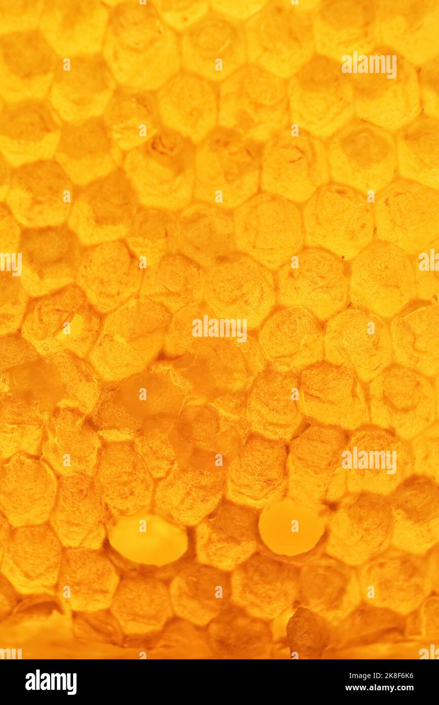 Close up honeycomb hi-res stock photography and images - Alamy