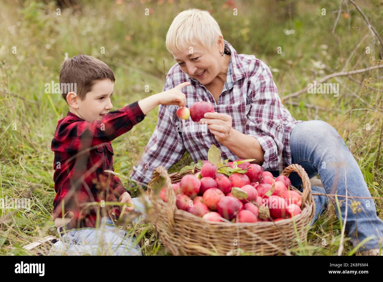 Smiling grandmother and grandson comparing apples together at orchard ...