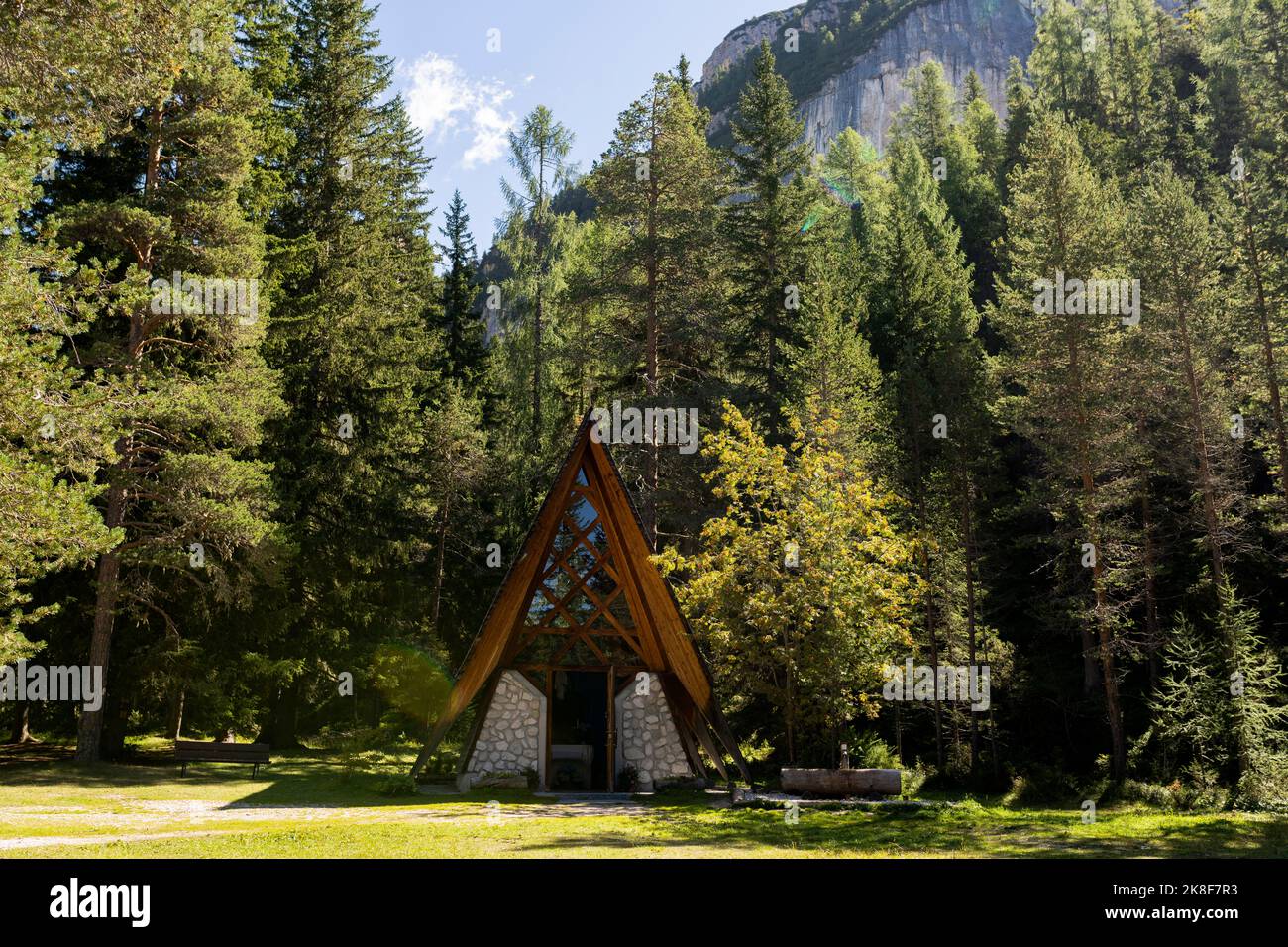 Pine trees in front of mountain hi-res stock photography and images - Alamy