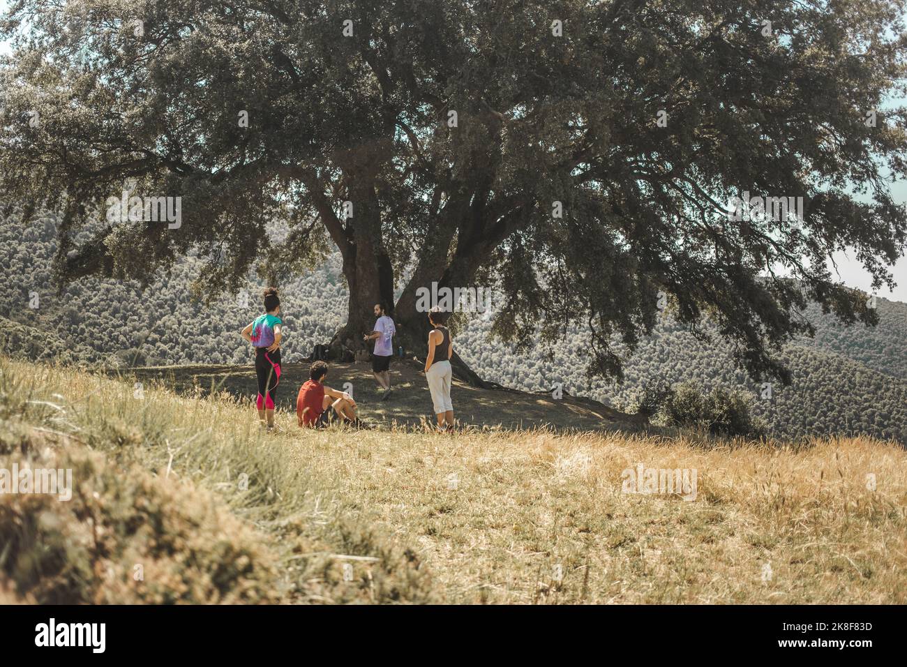 Friends standing under oak tree Stock Photo - Alamy