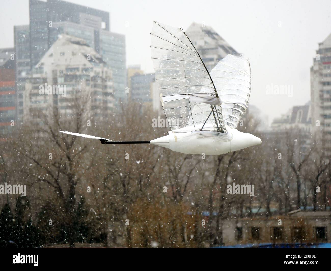 'ornithopter' hi-res stock photography and images - Alamy