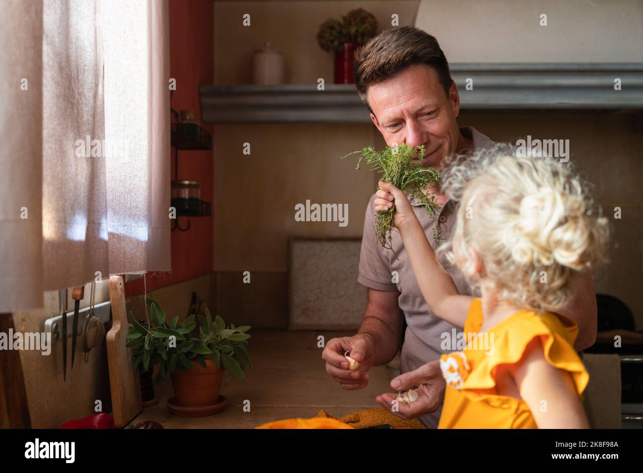 Thyme family hi-res stock photography and images - Alamy