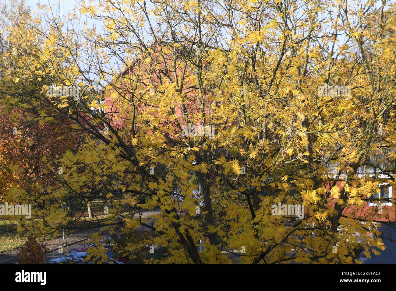 Copenhagen/Denmark/23 October 2022/ Fiber internet wire in danish ...