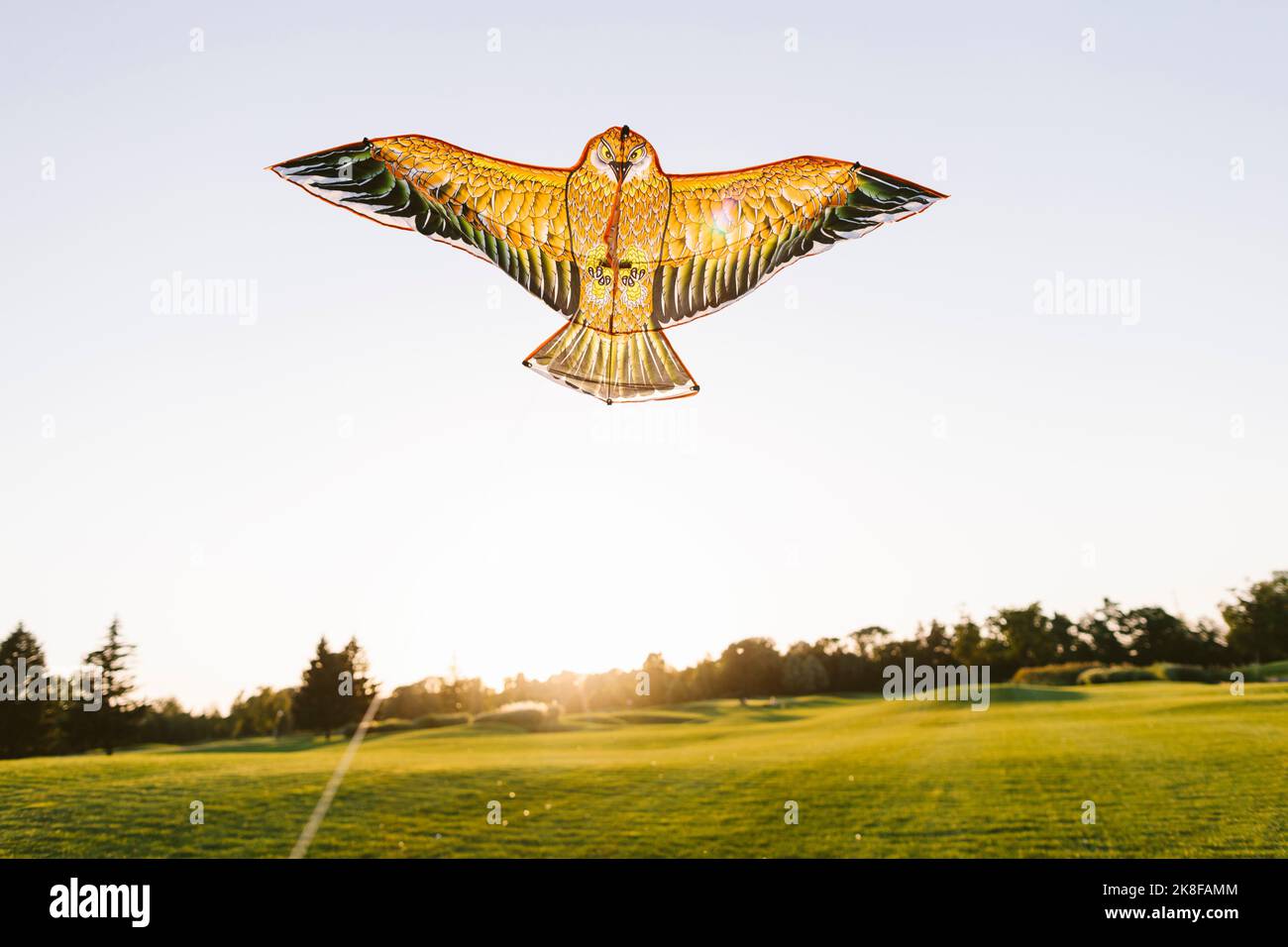 Bird shaped kite flying in park at sunset Stock Photo - Alamy