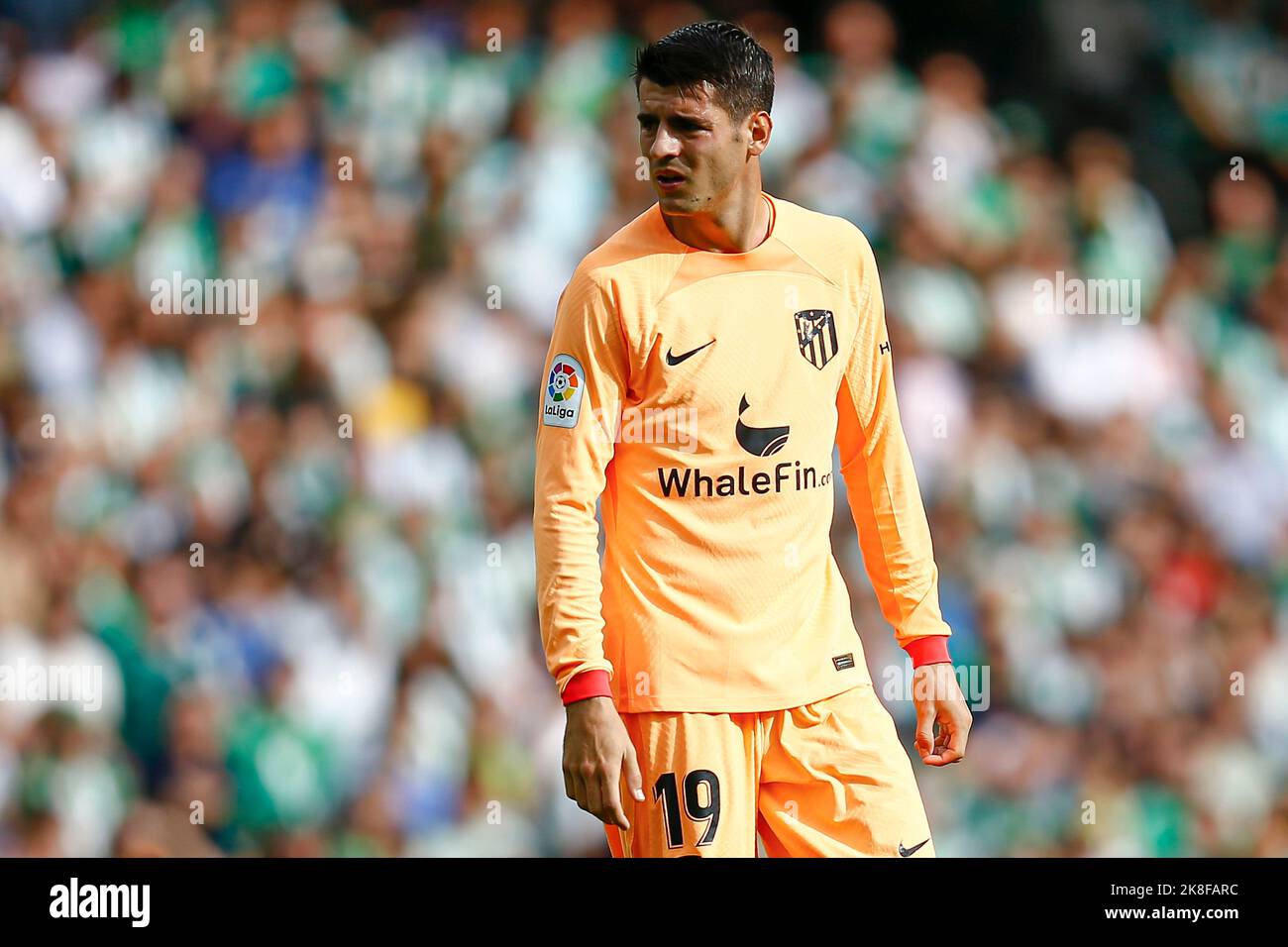 Alvaro Morata of Atletico de Madrid during the La Liga match between ...