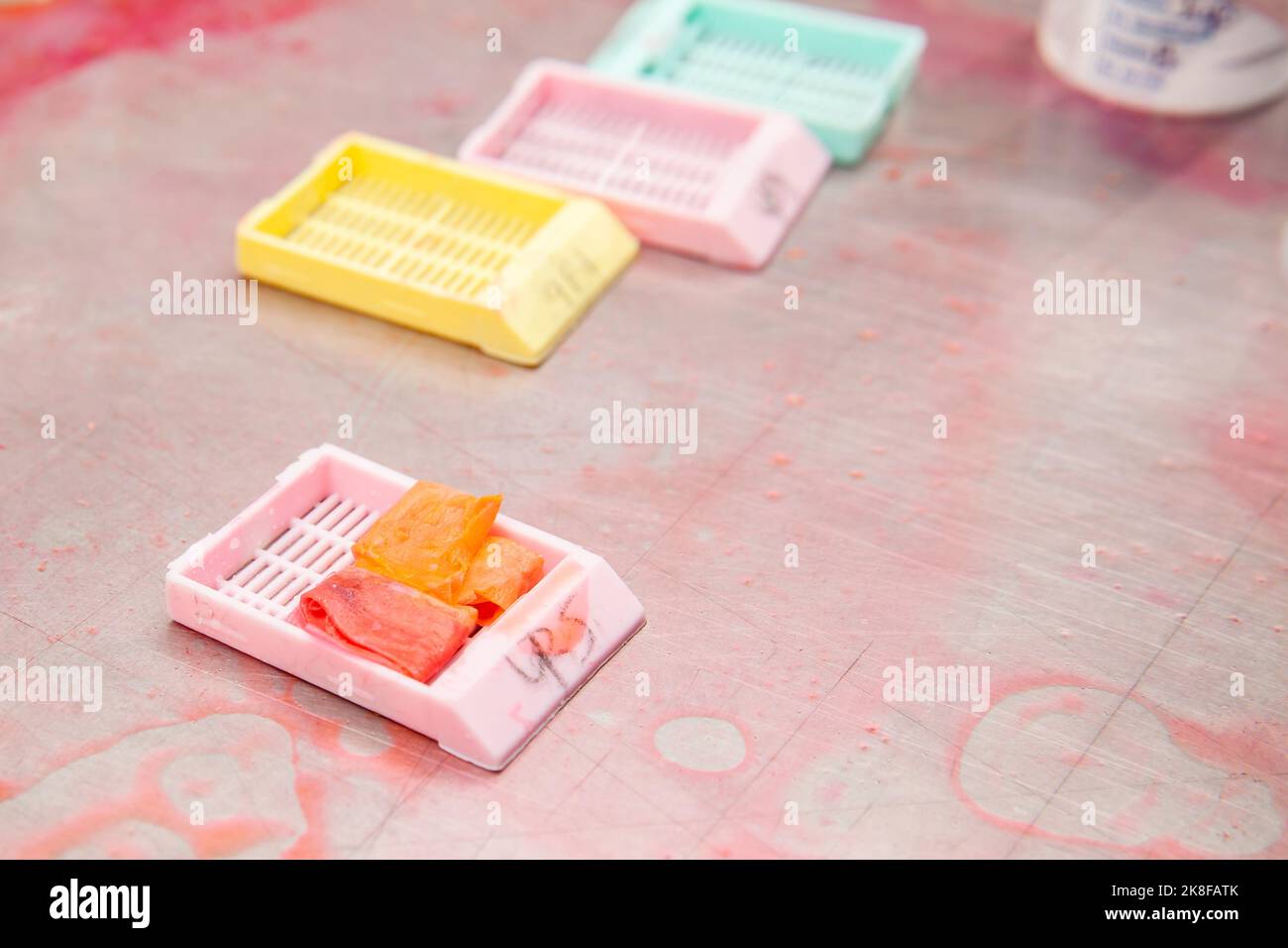 Staining tissue histology lab hi-res stock photography and images - Alamy